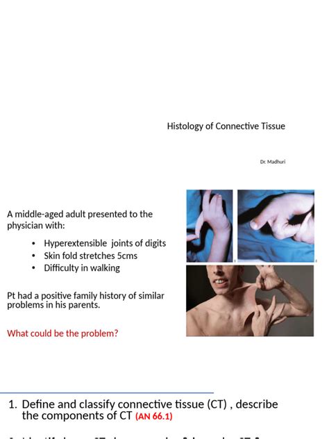 Histology Of Connective Tissue Pdf Connective Tissue Histology Of Connective Tissue Pdf Connective Tissue