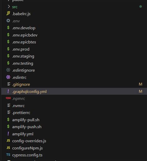 How To Run Amplify Codegen In Where Codegen Is Already Configured