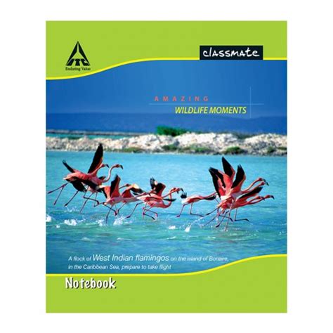 Classmate Copy Products At Best Price Rapid