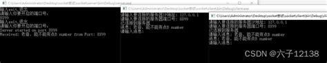 C 控制台 Socket 实现发送消息 服务端c Socket 给服务端 发送报文 Csdn博客