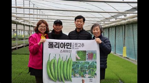 폴리아민풋고추 효과 탈모풋고추 효과 Youtube