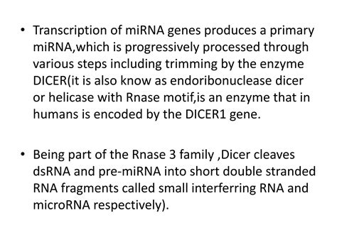 Mi Rna And Long Non Coding Rna Dr Abhinav Golla Associate Professor Lab Director