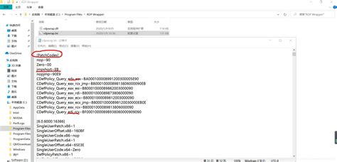 Rdp Wrapper Csdn博客
