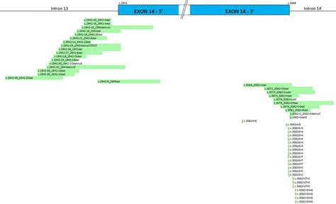 Mapping Of Met Exon 14 Skipping Mutations The Values Indicate The Download Scientific Diagram