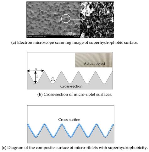Schematic Diagram Of Microstructured Surfaces Download Scientific Diagram