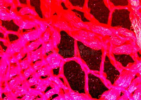 Bright Pink Pattern Fragment Of Fabric Textile Image Under The Microscope Micro Photography