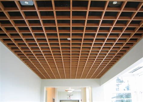 10 Great Grid Ceilings Artofit