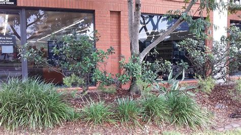 Robina Library 196 Robina Town Centre Dr Robina Qld 4226 Australia