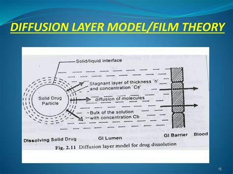 Theories Of Dissolution Pptx