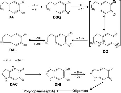 Oxidative Polymerization Of Dopamine A High Definition Multifunctional Coatings For Electrospun