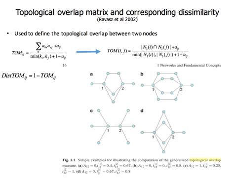 what do adjacency matrix and topology overlap matrix from wgcna package