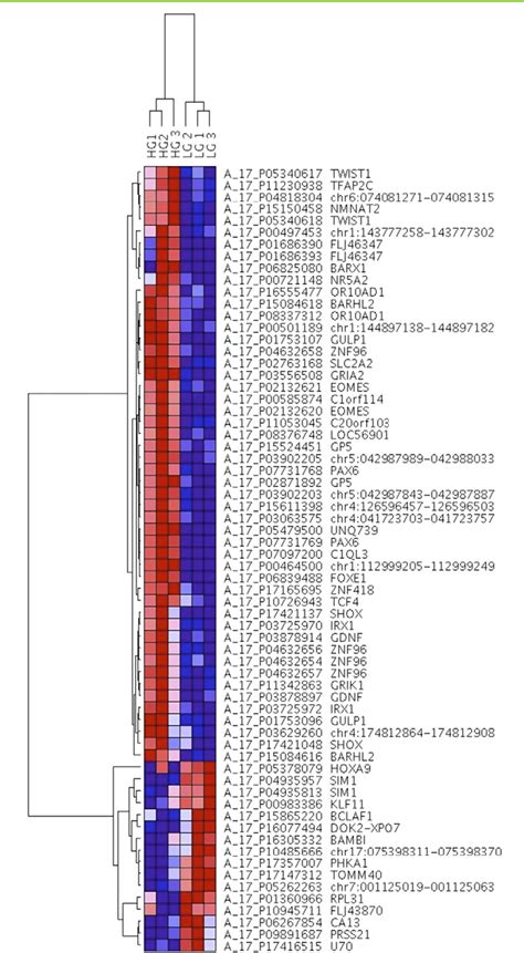 Anteriorposterior Pattern Specification Semantic Scholar