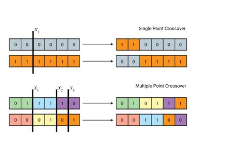 Genetic Algorithms An Overview Of How Biological Systems Can Be Represented With Optimization