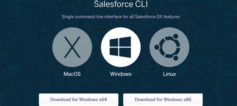 Chapter 2 Install Developer Tools For Lwc Development Sfdc4u