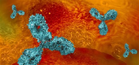 Optiprep™ Cat 1114542 Universal Density Gradient Medium