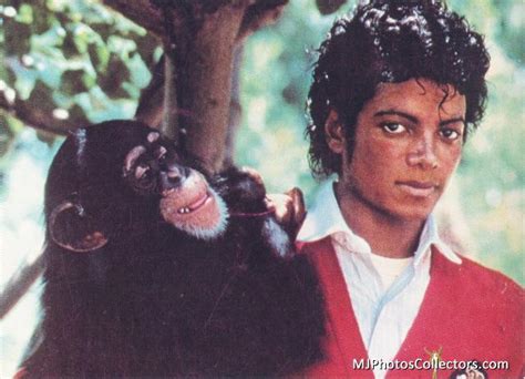 Mj The Thriller Era Photo Fanpop