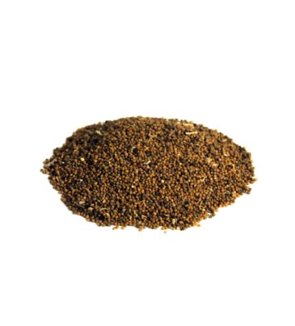 Buy Dunal Seeds Tukhm E Hayat تخم حیات At Best Price