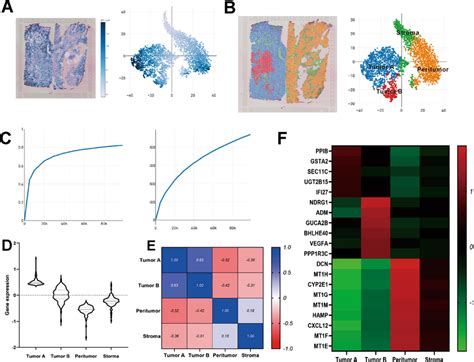 Spatial Gene Expression Heterogeneity Within The Case 1 Tissue Sample