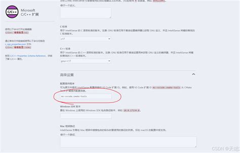 Vscode C、cmake ：某些引用可能丢失，因为在 查找所有引用 启动时，工作区分析不完整 警告 某些引用可能丢失因为在 查找所有