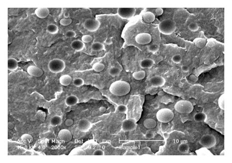 sem micrographs of uncompatibilized and compatibilized blends