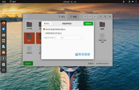 Ubuntu 备份神器：deja Dup 和 Timeshift 全攻略 系统极客