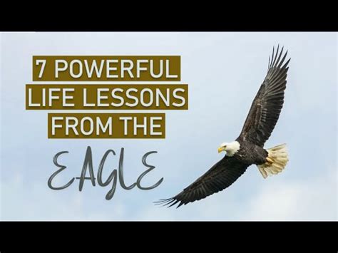 7 Principles of an Eagle | Motivational story | Wisdom of the Eagle ...