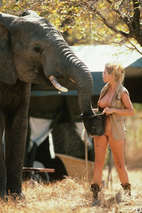 Retro Hotties Vol1 C Retro Jami Ferrellandkarin Taylorandrachel Jean