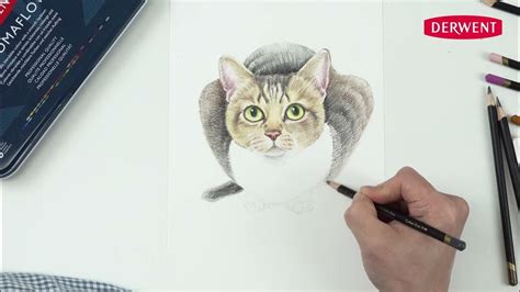 이재경 작가의 더웬트 크로마플로우 색연필로 고등어 고양이 그리기 Youtube