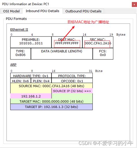 网络入门 Arp Arp广播报文 Csdn博客