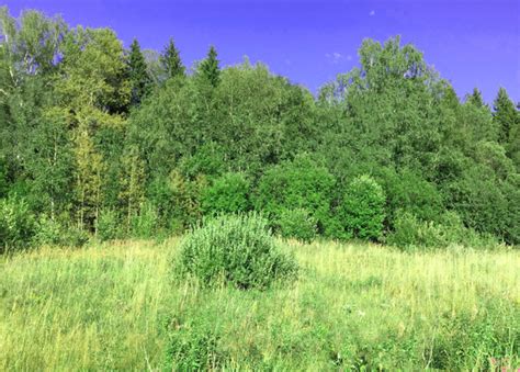 Купить земельный участок под ИЖС в Екатеринбурге продажа земли от собственника Земля 96