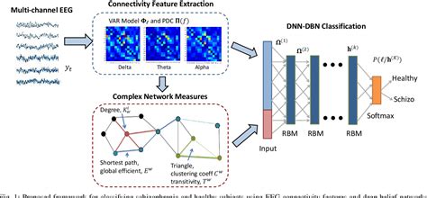 Figure 1 From Classification Of Eeg Based Effective Brain Connectivity