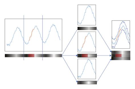 reshaping of the one dimensional data to the two dimensional image