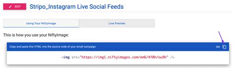 Creating Dynamic Emails In Under 10 Minutes Stripo Email