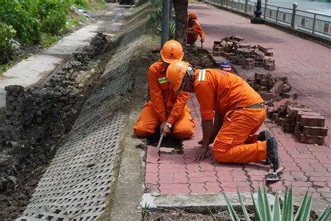 Dự án 4 đoạn đê Xung Yếu Khu Vực Thủ Đức Sắp “về đích”