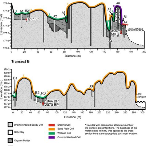 Stratigraphic Cross Section Of Transect A Top And Transect B