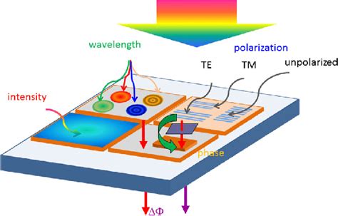 Schematic Of The Proposed Multimodal Sensing Platform Te Transverse