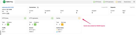 NGINX Kubernetes Ingress Controller Examples NGINX Ingress Controller Documentation