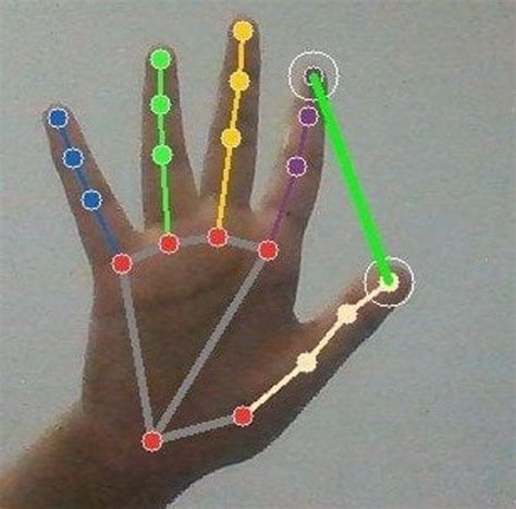 Parul Srivastava On Linkedin Machinelearning Imageprocessing Python
