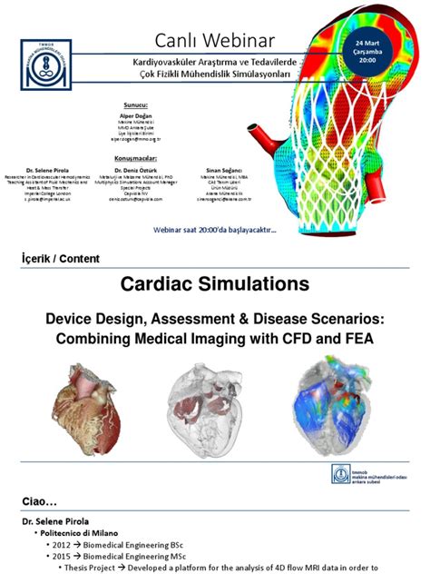 Flowvision Cfd Cardiac Simulations Mmo Pdf