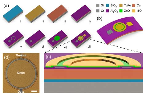 Zno Tfts On Flexible Electroplated Cu Substrate A Fabrication Download Scientific Diagram