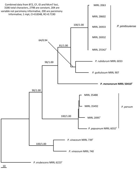 Phylogenetic Tree Calculated Using Maximum Parsimony Criterion For The