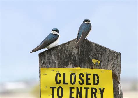 Workers Comp Claim Denials Occur More Than You Think