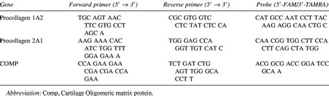 Primerprobe Sets Used For Real Time Pcr Download Table