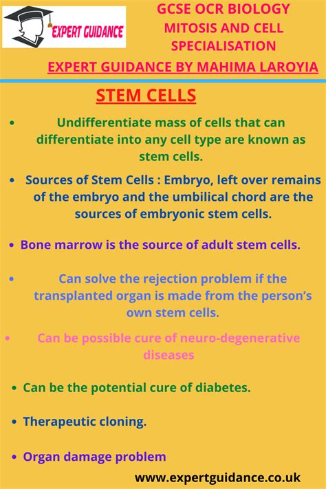 This Page Contains The Detailed And Easy Notes For GCSE OCR Biology Mitosis And Cell