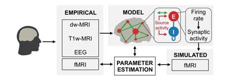Hybrid Modelling Framework Hybrid Brain Network Models Are Constructed
