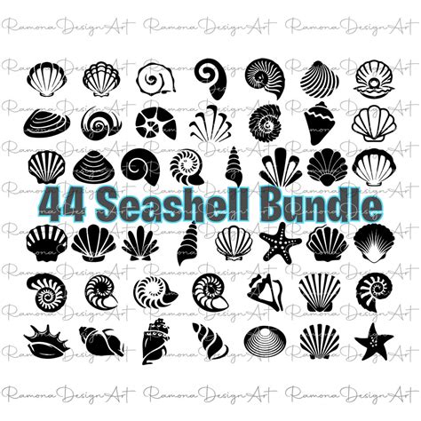 Seashell Svg Seashells Svg Seashell Svg File Ocean Svg Marine