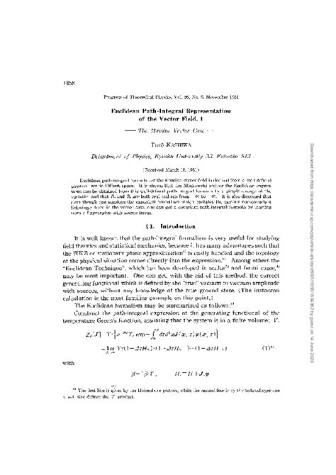 Pdf Euclidean Path Integral Representation Of The Vector Field I
