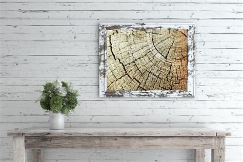 Tree Ring Art Rustic Photo Rustic Art Rustic Decor Natural Decor Nature Art Wood Art