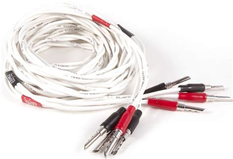 Black Rhodium Twist Bi Wire Ls Speaker Cables Gold Plated 4mm Plugs 3 Meter Pair Audio Emotion