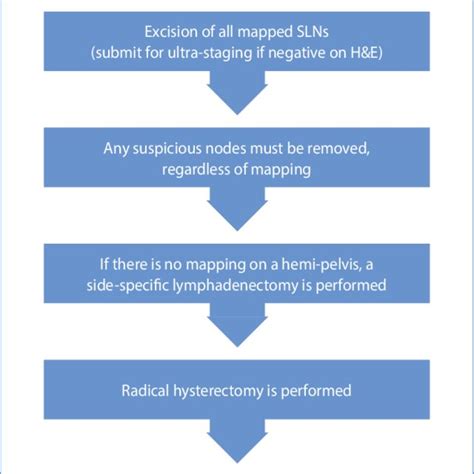 sentinel lymph node surgical algorithm for early cervical cancer 22